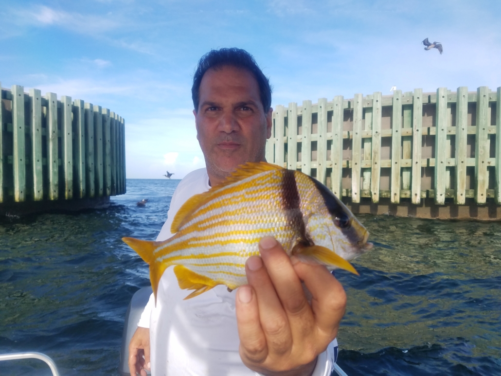 Home - Scallop Adventures LLC