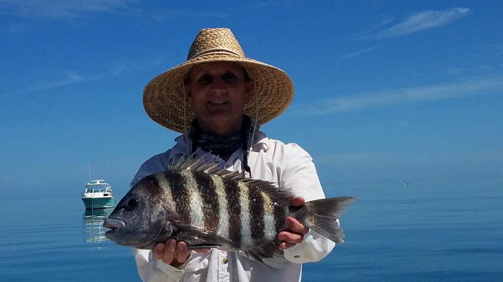 Home - Scallop Adventures LLC