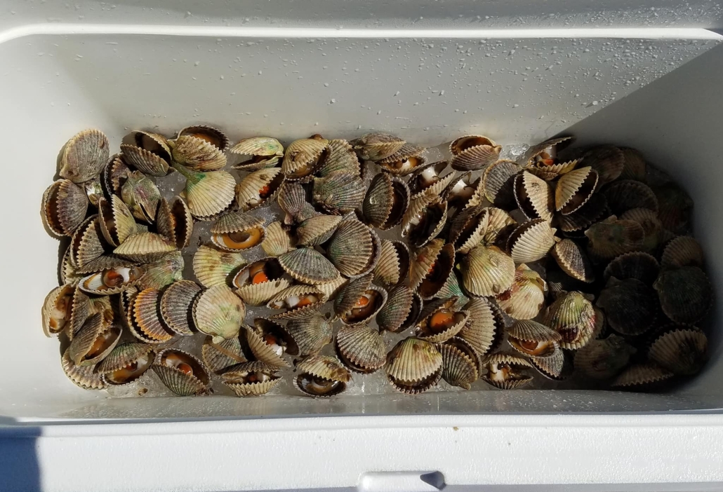 Home - Scallop Adventures LLC