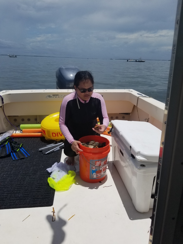 Home - Scallop Adventures LLC